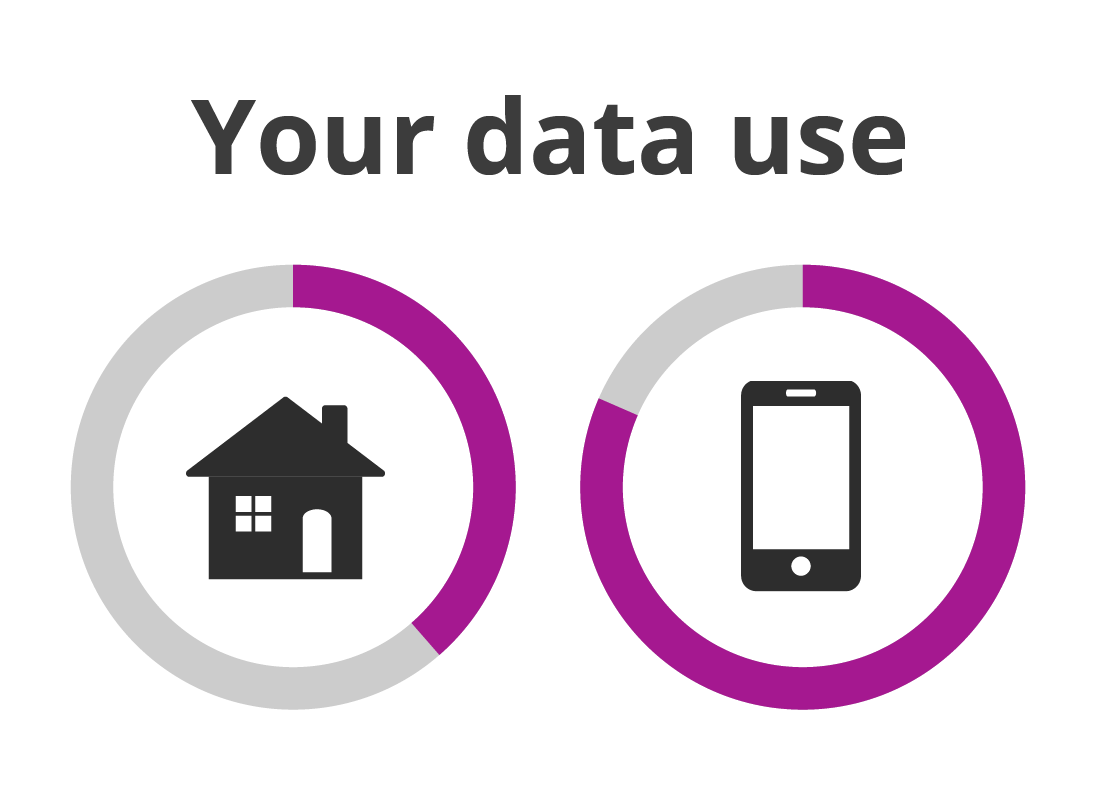 Seeing How Much Data I Use Learning Module Managing Your Data