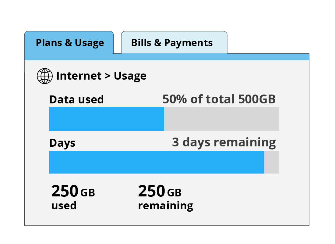 Seeing How Much Data I Use Learning Module Managing Your Data